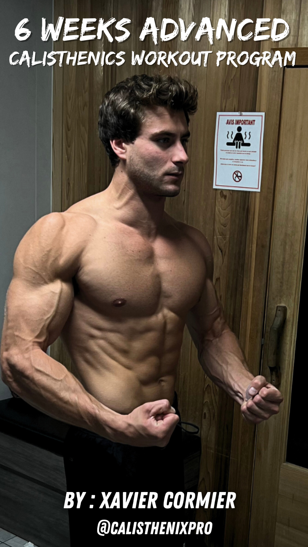 6 Weeks Calisthenics Workout Program (Advanced)